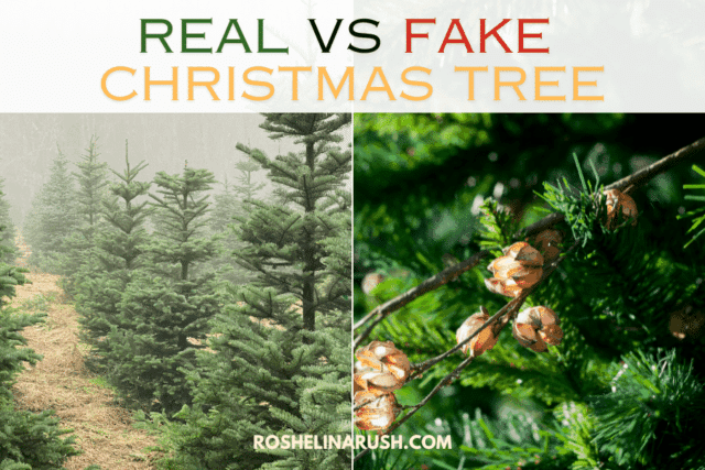 Can Christmas Trees Cause Allergies? Uncover The Truth!