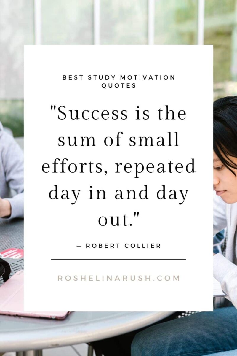 41 Best Study Motivation Quotes To Ace Your Exams Stress-Free